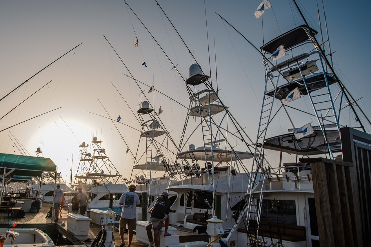 Sport Fishing Championship - The Billfish Pachanga